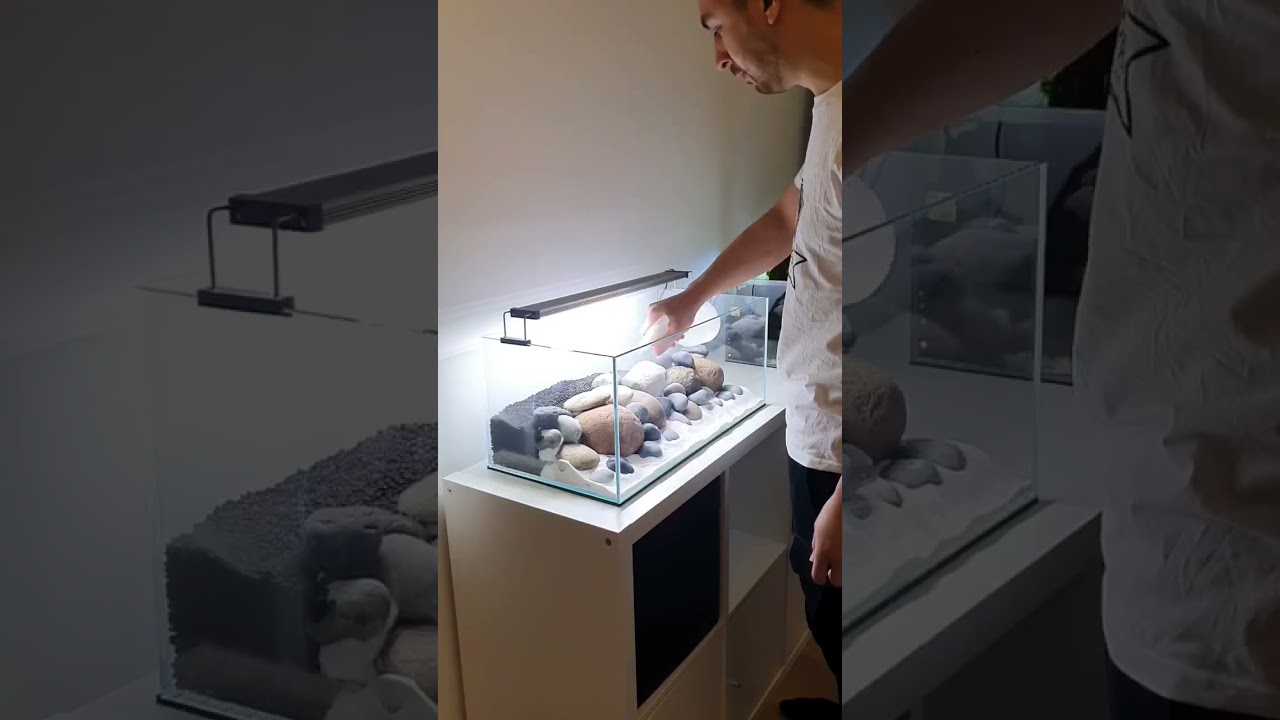 Even after a year this river scape is one of my favorites #aquascape #fish #fishtank #aquarium