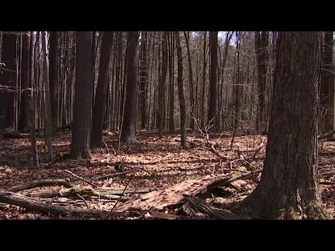 Feds approve funding to help fight tick bites in Connecticut