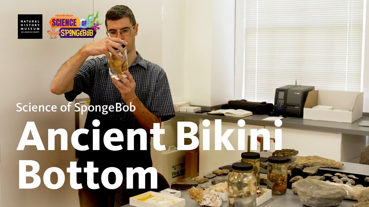 Science of SpongeBob: Ancient Bikini Bottom #SpongeBob #Science #NHMLA