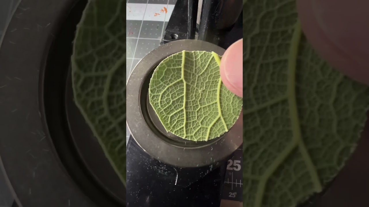 Will it Button? Leaf 🍃 #button #pin #artprocess #leaf