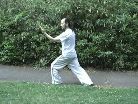 Tai chi yang style 24 forms | taichiyoga