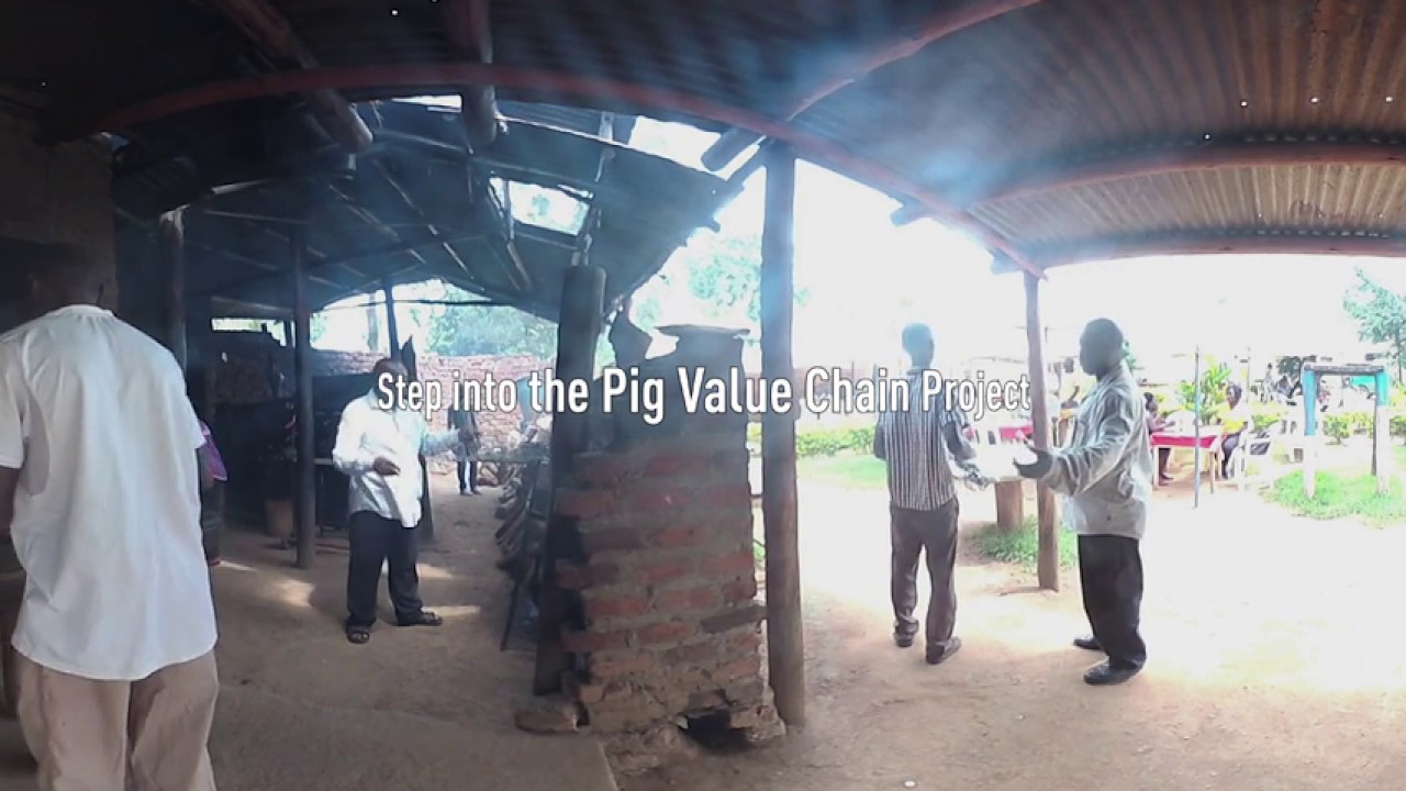 Step into the Uganda Pig Value Chain Project
