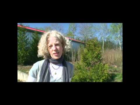 Dr Magda Havas, PhD – WiFi in Schools and Health Effects | Citizens For ...