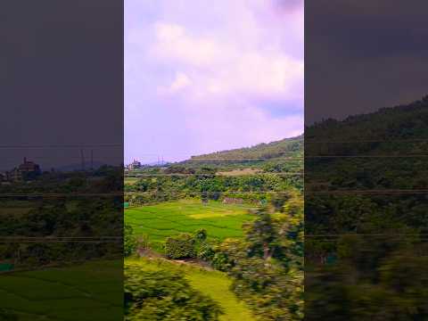 #naturelovers