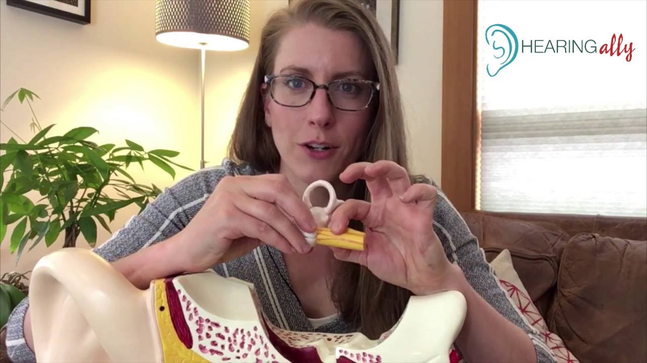 What is Sensorineural and Conductive Hearing Loss?