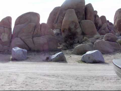 Joshua Tree and Intrinsic Value