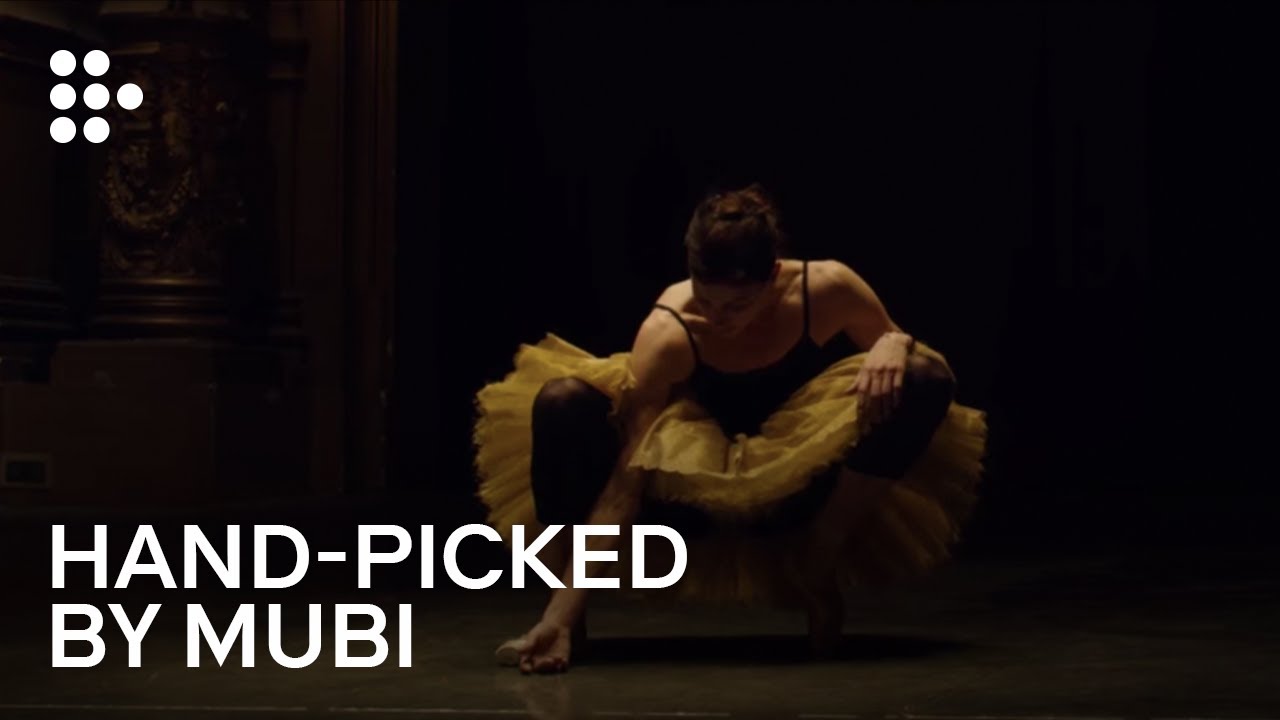 Introducing 'Special Discovery' | Hand-Picked by MUBI