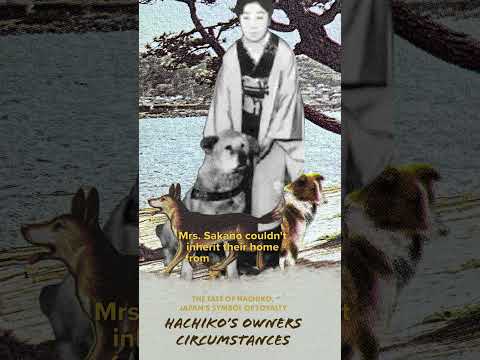 Hachiko, the Dog, Given Away | Japan’s Symbol of Loyalty