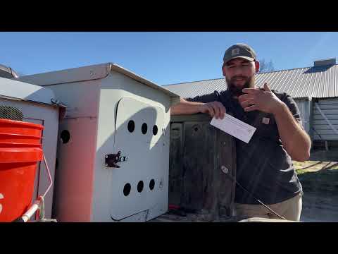 Live market trapping: what is it? Why do I do it?