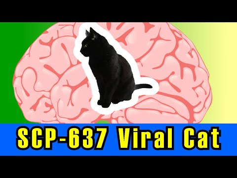 SCP-637 Viral Cat: The Cognitohazardous Cat in Your Mind