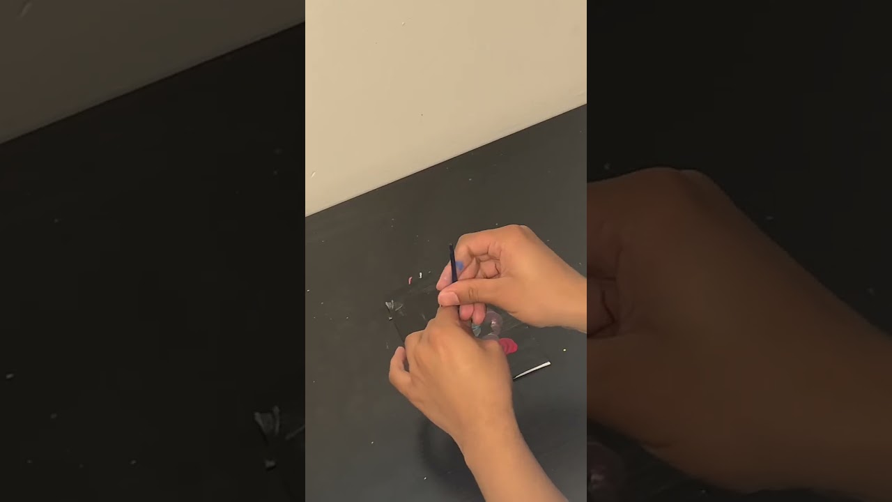 Abstract Art #art #shorts #painting #acrylic #shortsvideo #abstract #shape #circle #colorful #canvas