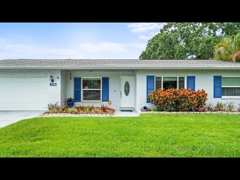 4313 Hollow Hill Dr, Tampa, FL