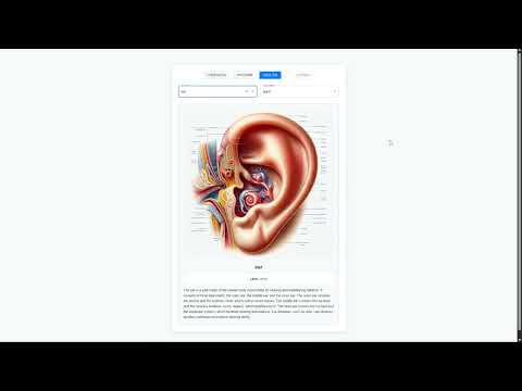 MedLex – AI-Powered Multilingual Medical Terminology App