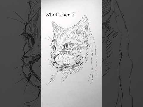 how to sketch a cat 😺 #howtodraw #howtosketch #shorts