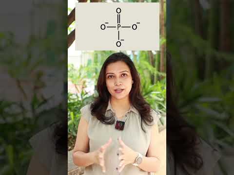 What Makes DNA Negatively Charged? #dnastructure #dna