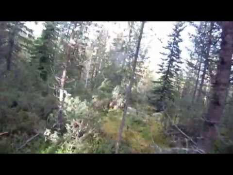 WOC2013 middle training (interval 2)