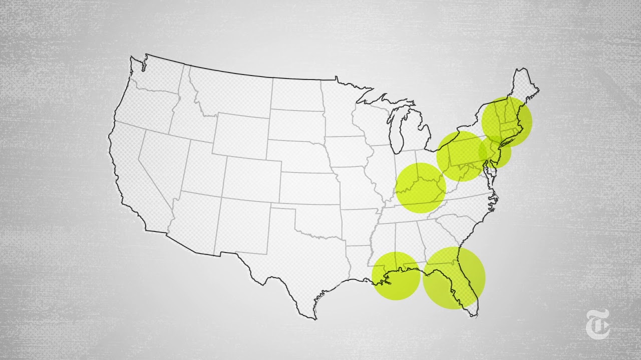 The Facts on America's Opioid Epidemic