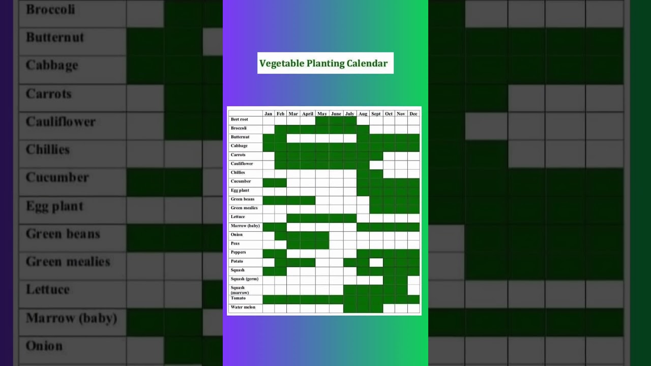 Comprehensive Vegetable Planting Calendar | Month-by-Month Guide