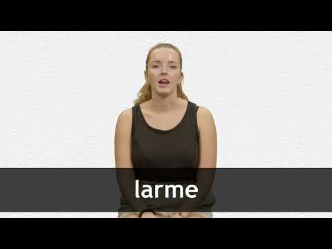 English Translation of “LARME” | Collins French-English Dictionary