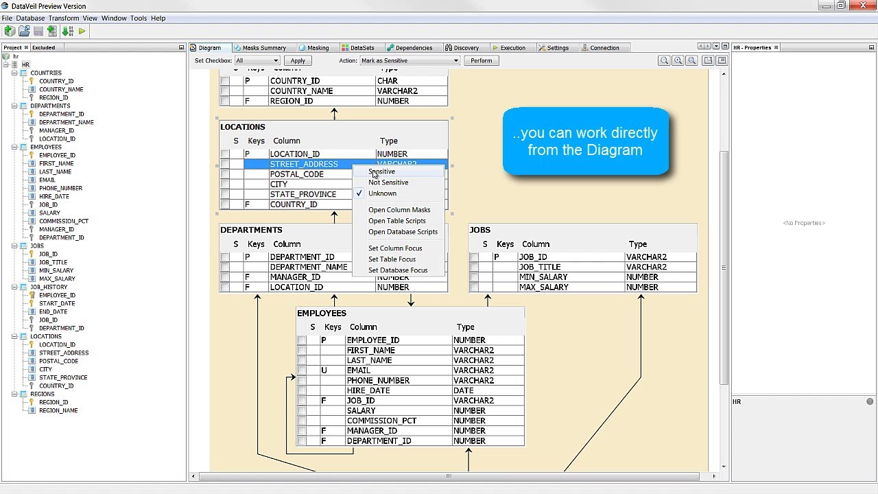 DataVeil Data Masking Demo