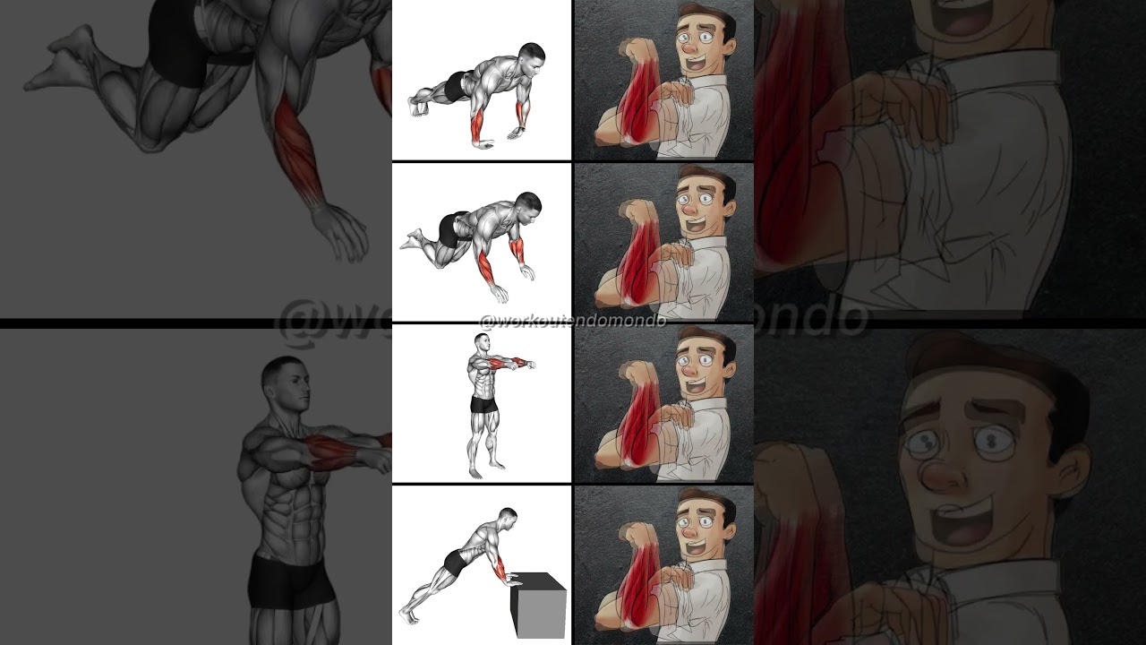 BEST Bodyweight Forearm Exercises (NO Equipment Needed!)