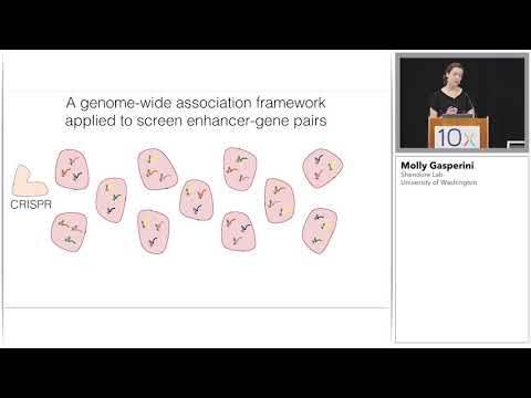A Multiplexed Association Framework Applied to Tie Enhancers to Their Target Genes via Cellular Gene