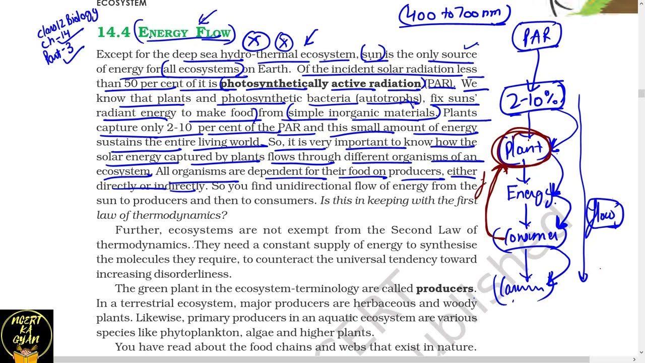 Ecosystem||Part 3||Chapter 14 NCERT line by line Explanation for NEET