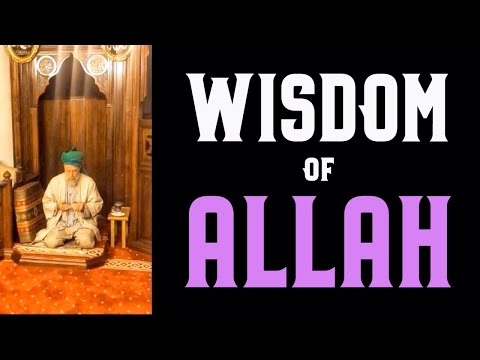 Wisdom of Allah [ENGLISH VERSION]