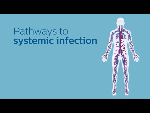 Pathways to Systemic Infection Animation