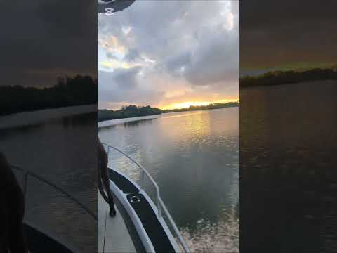 Bass, Saratoga, Barramundi, The 3 fish challenge continues....