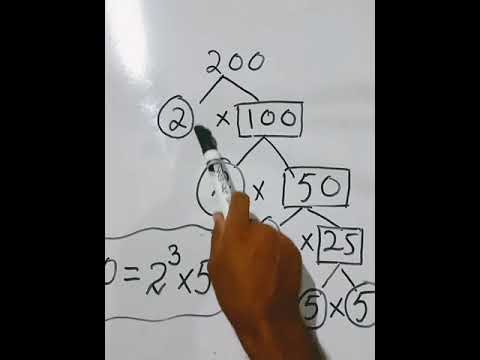 prime factors of 200 using factor tree method