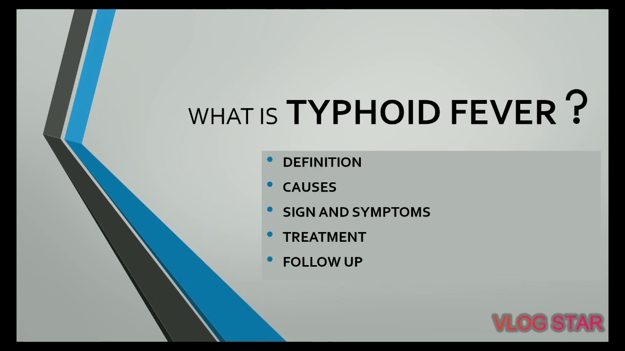 WHAT IS TYPHOID FEVER...? II SLIDESHOW PREVIEW OF PPT II