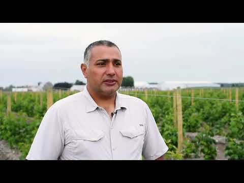 Customer Story: Samson Farms - AgWest Farm Credit
