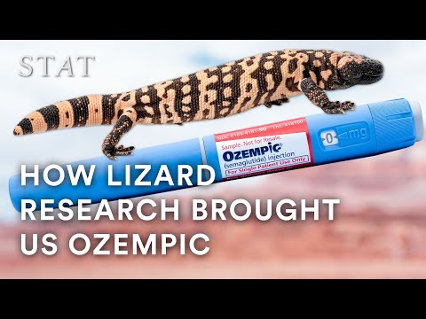 Research funding has unexpected benefits. A lizard study led to Ozempic.