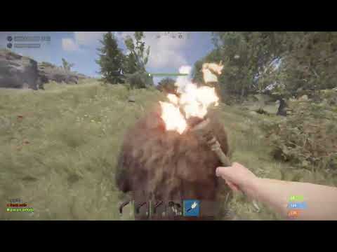Steam Community :: Video :: Best way to kill the bear #rust # ...