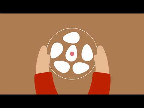Egg Processing on Ohio Farms
