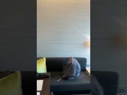 Room Tour - Mitsui Garden Hotel Ginza Premier