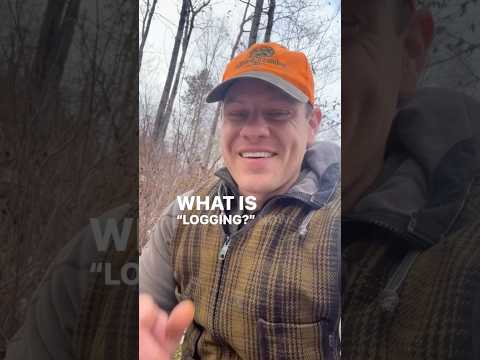 What is “logging?” See description for some nuance on this! #forest #forestry #forester #logging