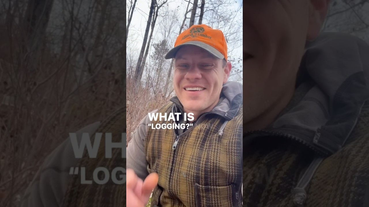 What is “logging?” See description for some nuance on this! #forest #forestry #forester #logging