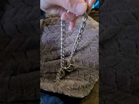 How to put on a choke chain....make sure it makes a P not a Q when u put it on your dog