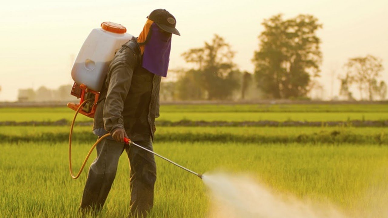 What is the difference between Pesticide, Herbicide, Fungicide and Insecticide?