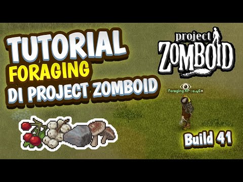Steam Community :: Video :: Tutorial Foraging di Game Project Zomboid - Build 41 Terbaru