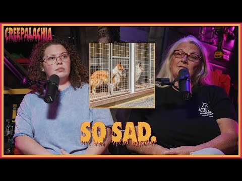 The HARSH REALITIES of Running a No-Kill Animal Shelter | Humane Society of Raleigh County