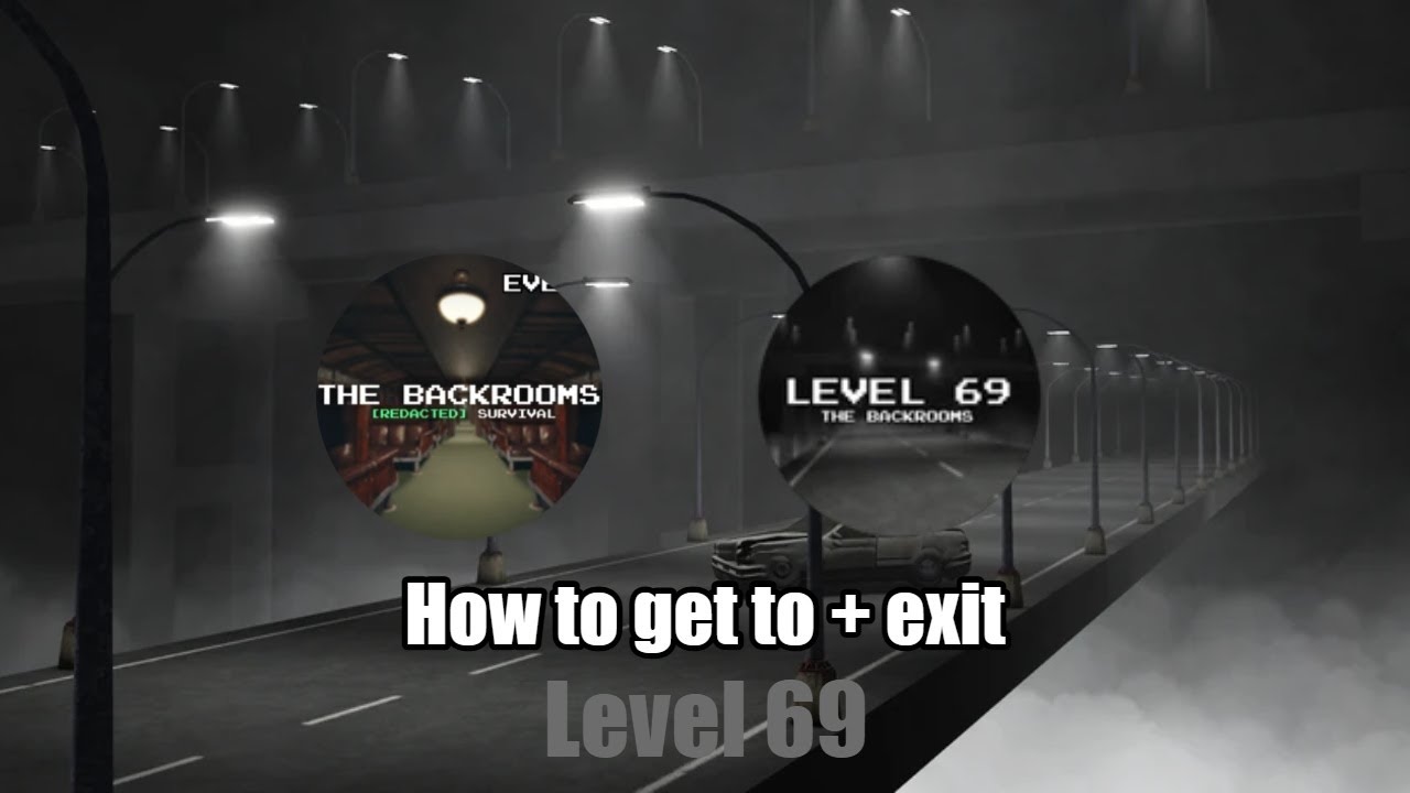 How to go to the Level 69 In Backrooms Redacted!!!