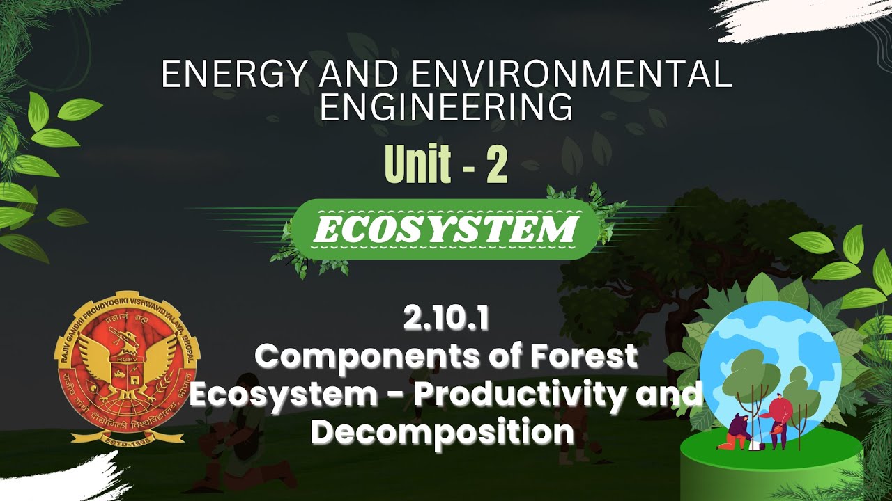 Understanding the Components of Forest Ecosystem: Productivity and ...