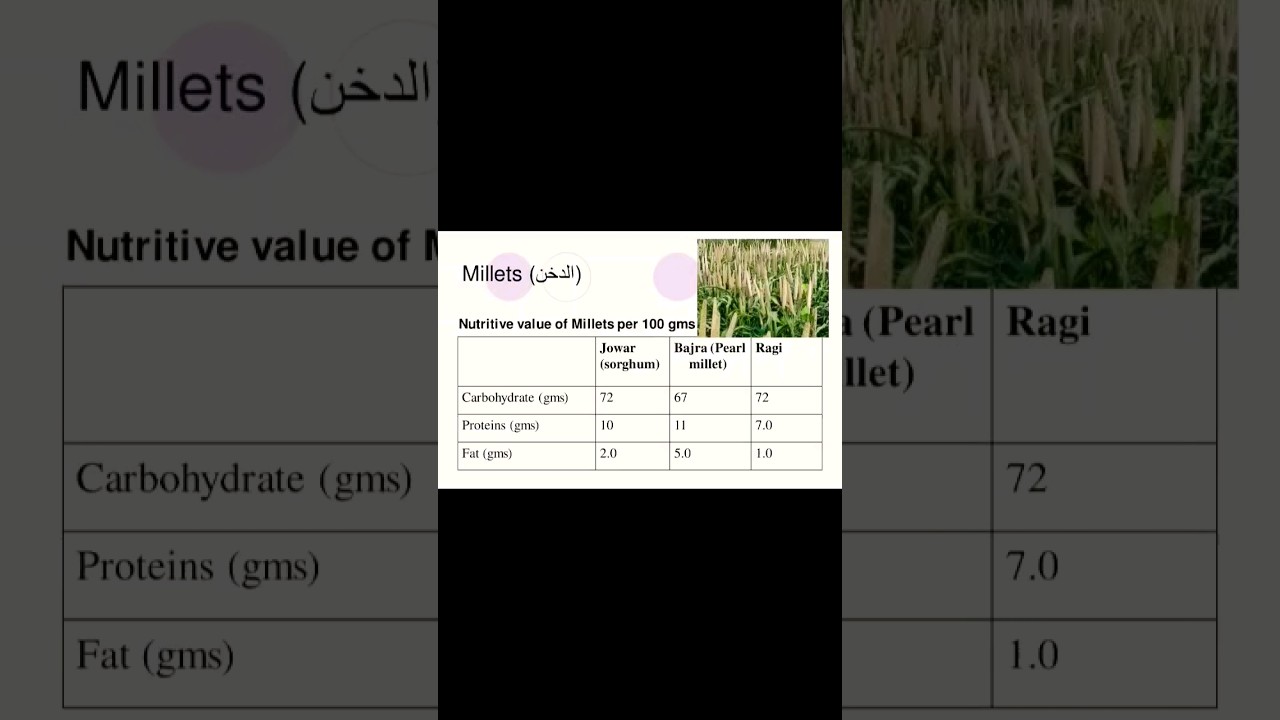 Nutritional content in millets🍽️