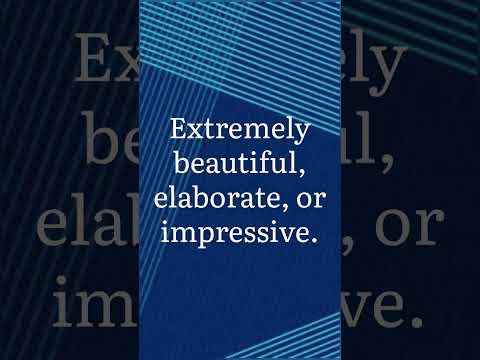 MAGNIFICENT | WORD OF THE DAY #179 #shorts #vocabulary #wordoftheday #magnificent #kichuletsenglish