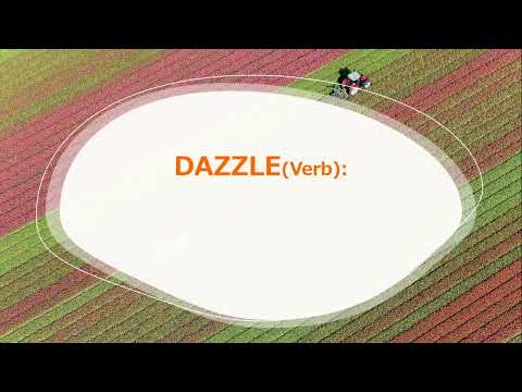 DAZZLE | Dictionary| Thesaurus| Vocabulary| Synonyms|Word| Meaning| English| Language|