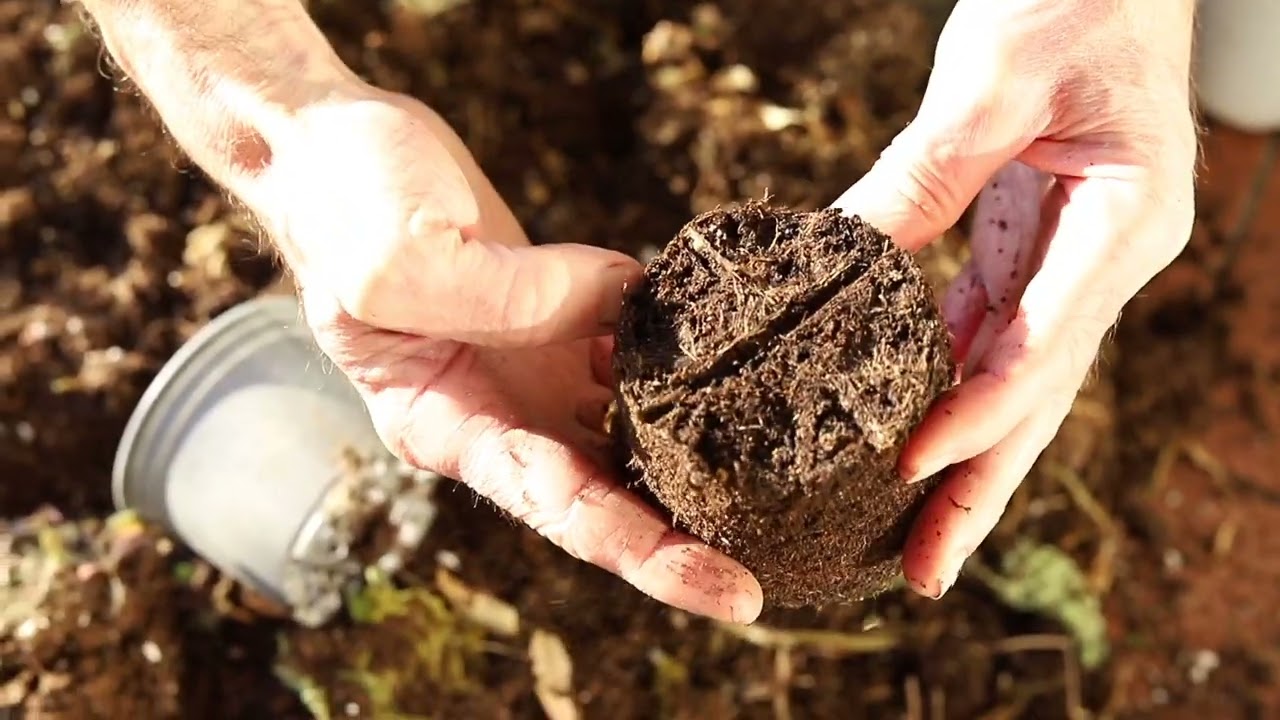 Címbalo – Toda la Información de este Instrumento Musical | Entretenimiento