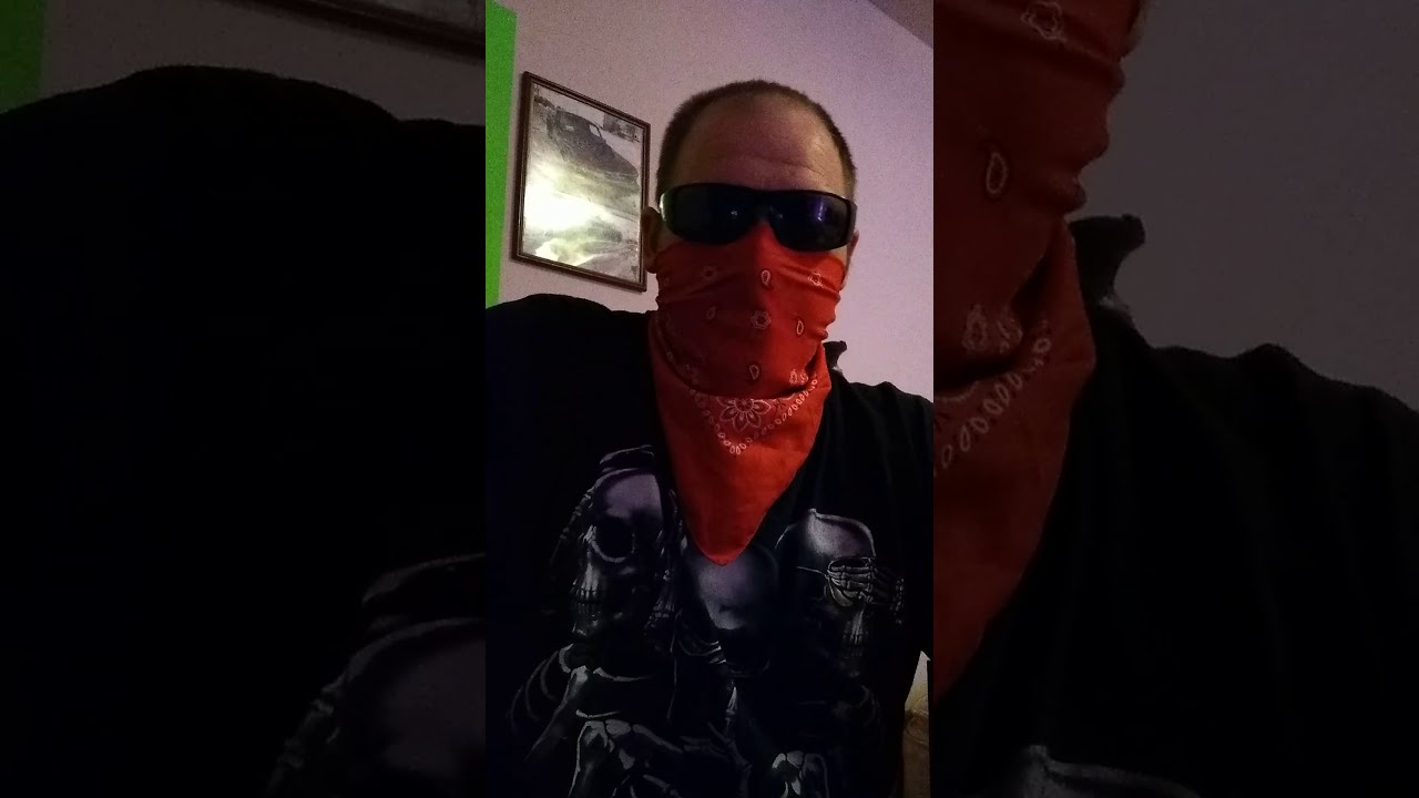 A little talk about germination and grow medium